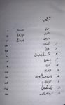 Roshandaan, Javed Siddiqui, Urdu Adab Book, روشن دان, جاوید صدیقی,